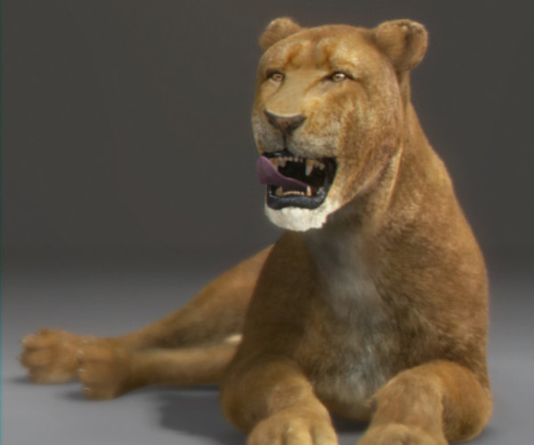 ArtStation - Lioness | Game Assets