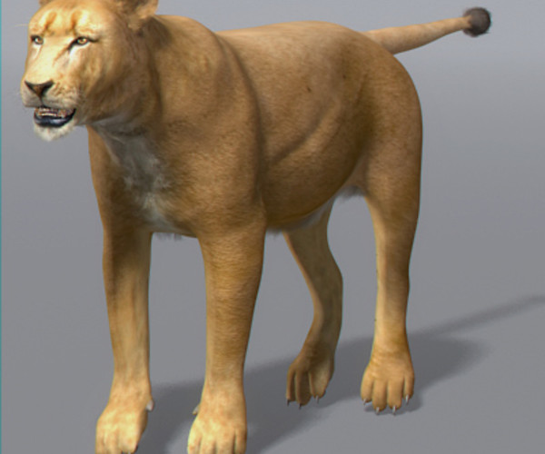 ArtStation - Animated Lioness | Resources