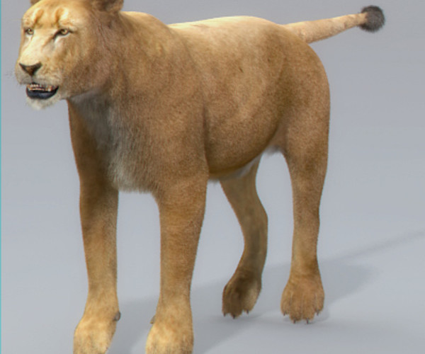 ArtStation - Animated Lioness | Resources