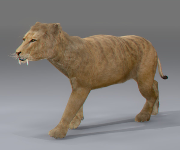 ArtStation - Animated SabreTooth | Game Assets