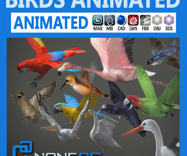 ArtStation - Pack – Birds Animated | Resources