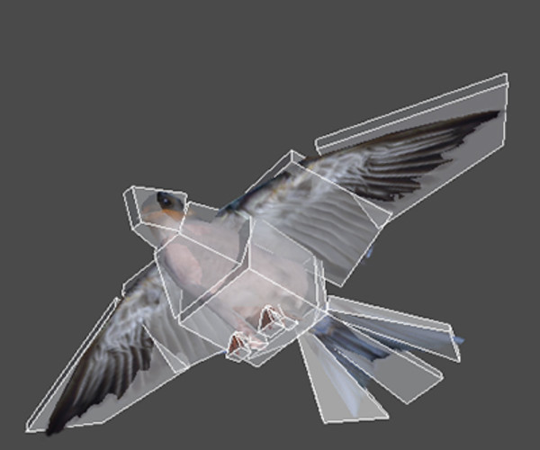 ArtStation - Pack – Birds Animated | Resources