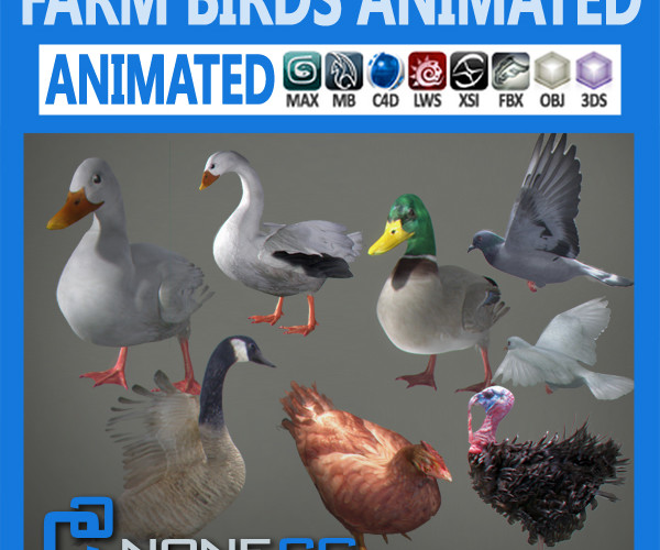 ArtStation - Pack – Farm Birds Animated | Game Assets