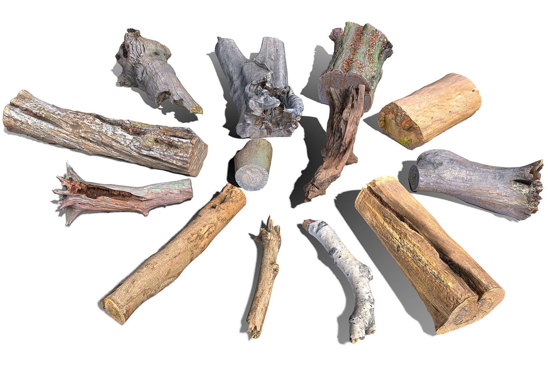 ArtStation - 13 Tree Logs | Resources