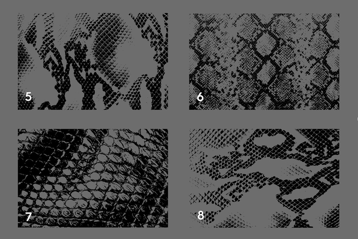 ArtStation - 20 Snake Leather Texture Overlays | Brushes