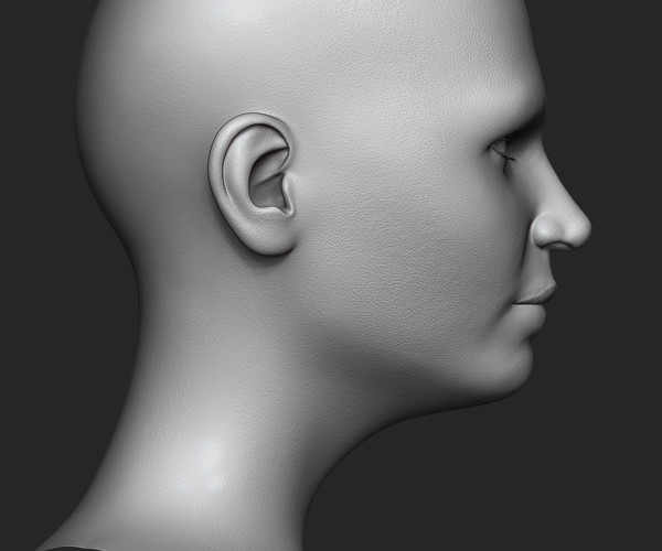 ArtStation - Realistic Female Head 3D Model | Resources