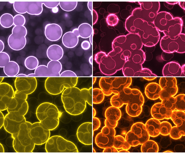 ArtStation - 20 Luminescent Cells Backgrounds | Artworks
