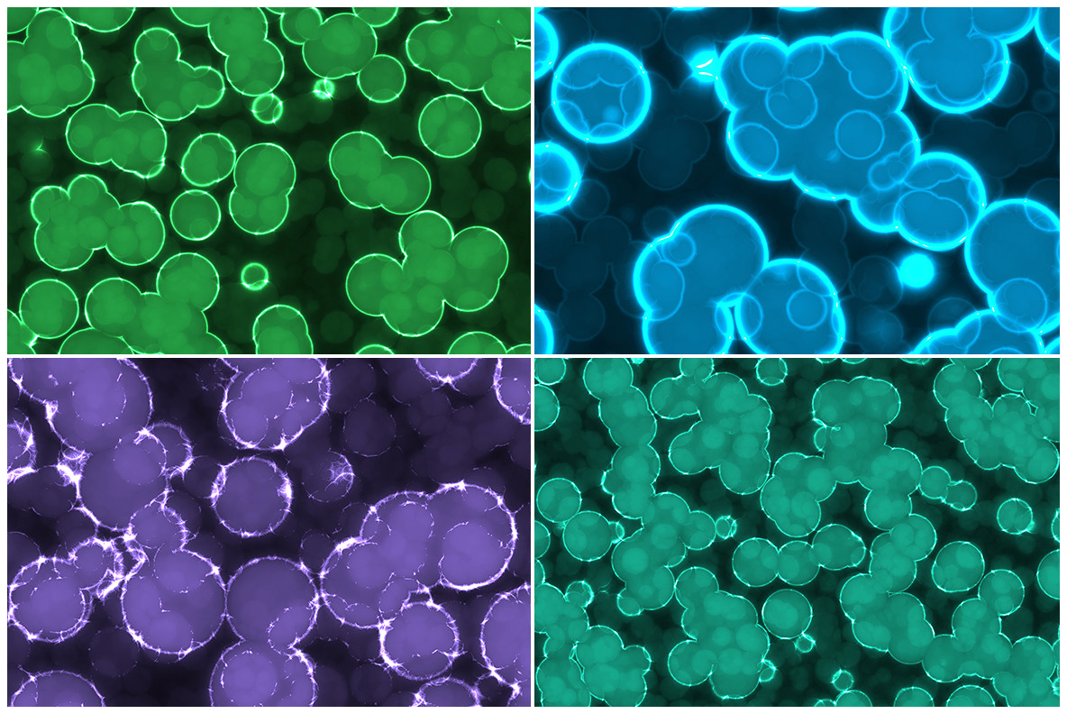 ArtStation - 20 Luminescent Cells Backgrounds | Artworks