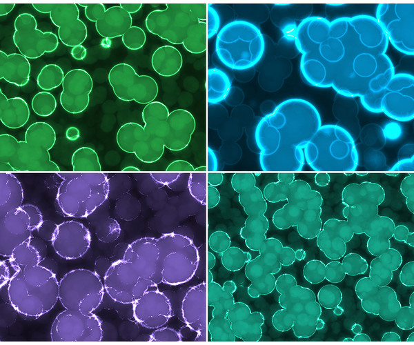 ArtStation - 20 Luminescent Cells Backgrounds | Artworks