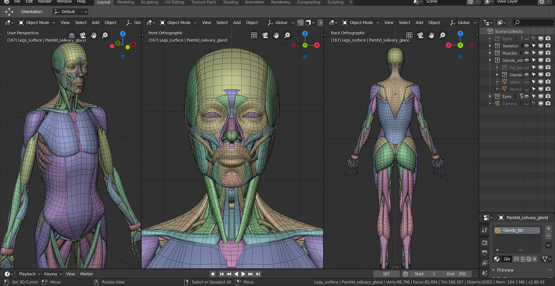 ArtStation - Anatomy model 2019 | Resources