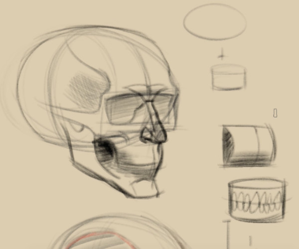 ArtStation - BASIC SKULL CONSTRUCTION FOR ARTISTS | Tutorials