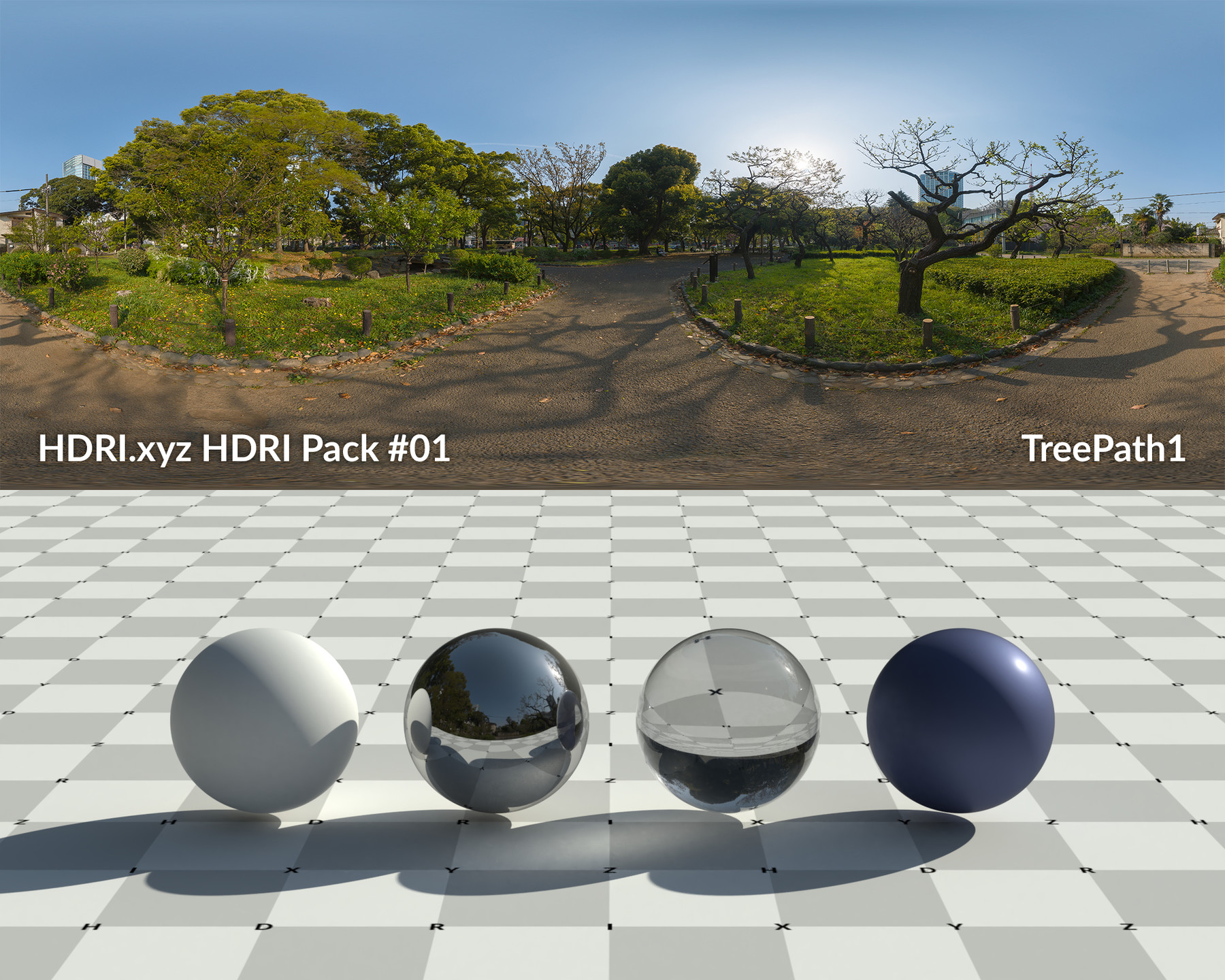 Vlad Erium - Tree Path #01 - 16K 32bit HDRI Spherical Panorama (from ...