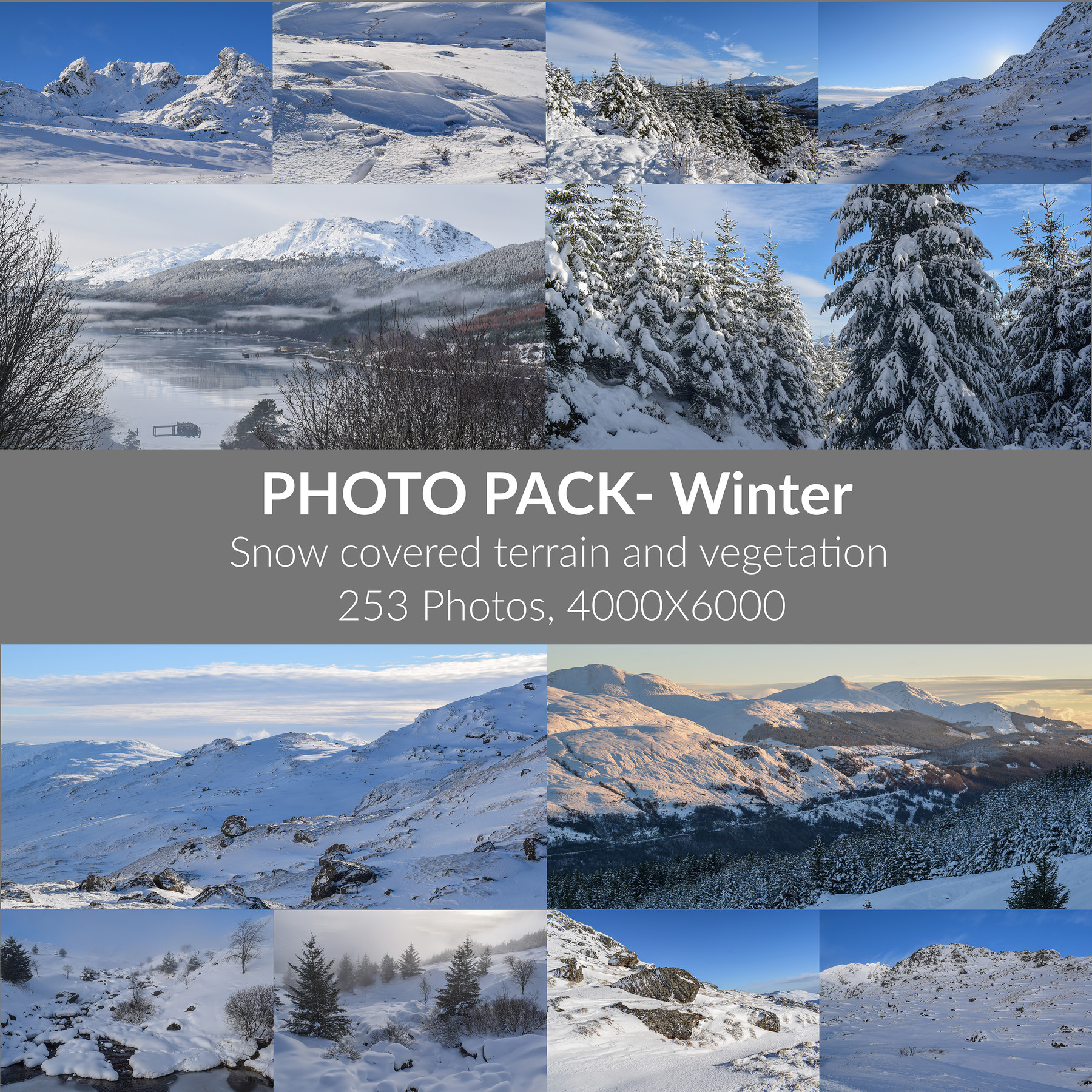 ArtStation - Winter Photo Pack | Resources