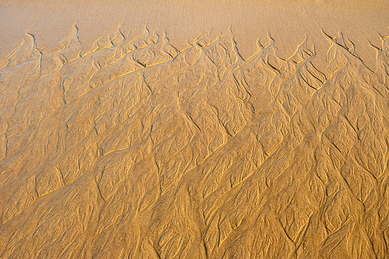 ArtStation - Sand Patterns and Rocks | Resources