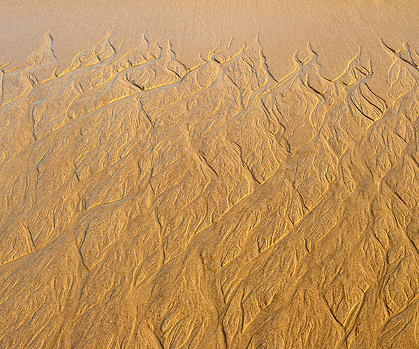 ArtStation - Sand Patterns and Rocks | Resources