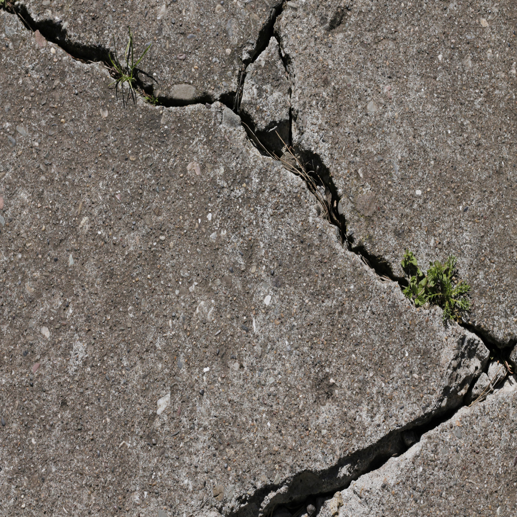 ArtStation - Cracked Gravel | Resources