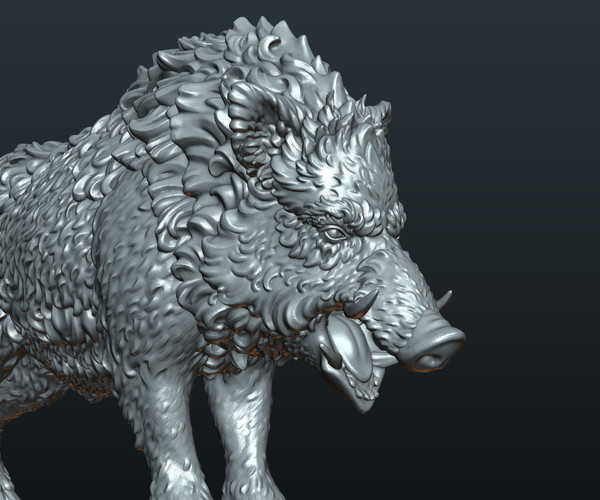 ArtStation - Wild Boar in static pose | Resources