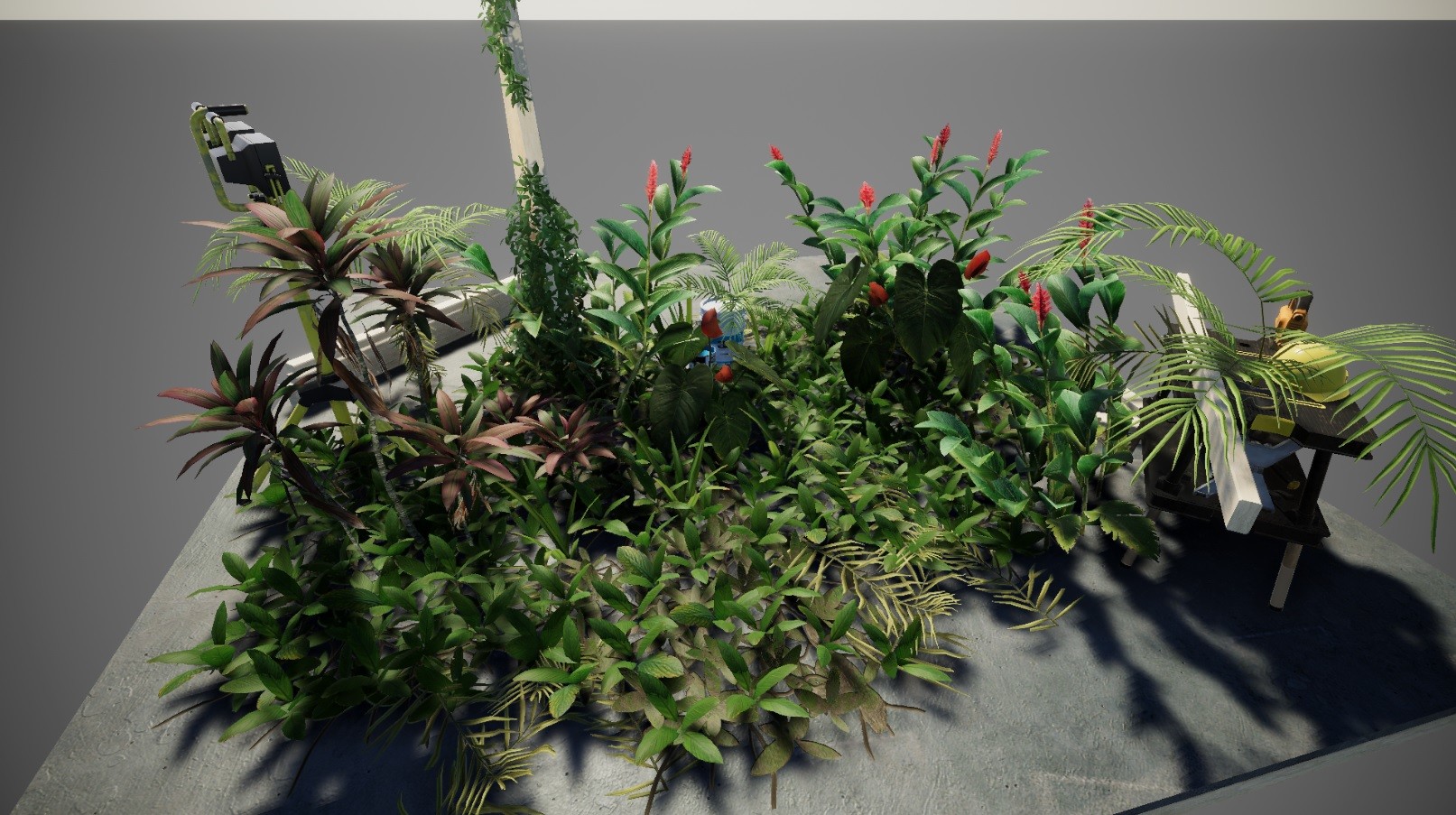 ArtStation - Tropical Plants Package | Resources