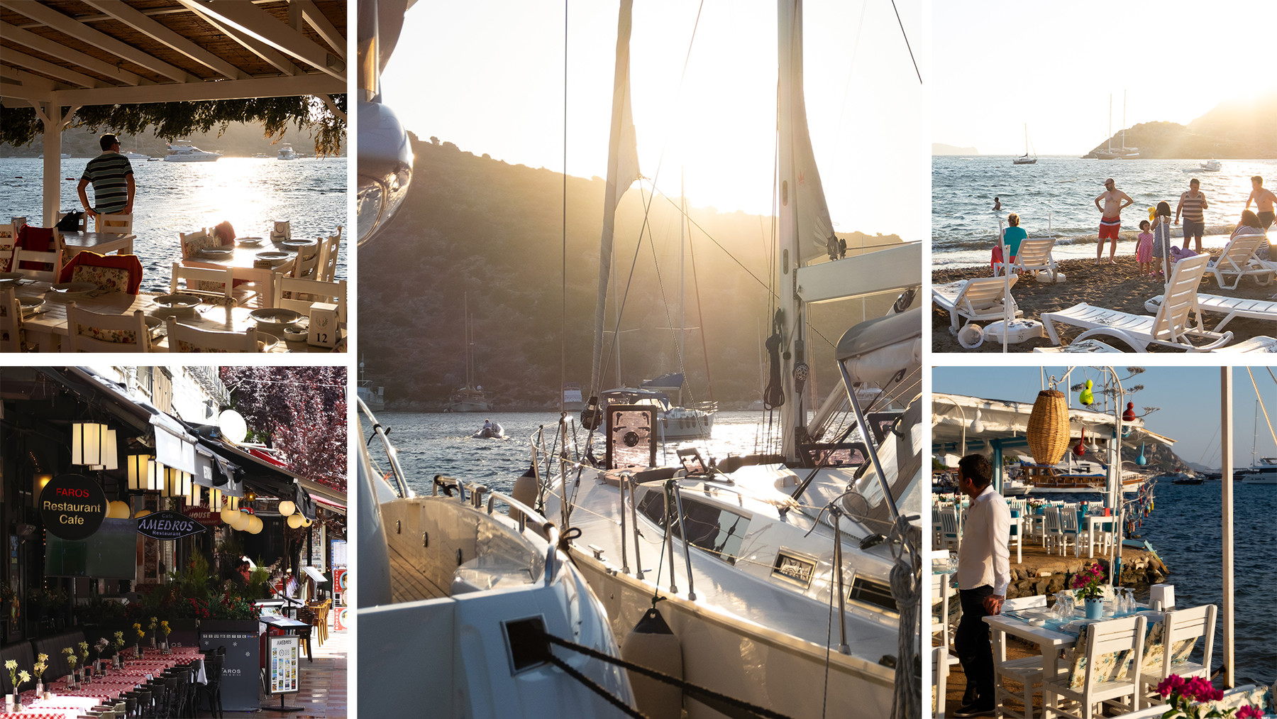 ArtStation - Turkey - Photo Reference Pack | Resources