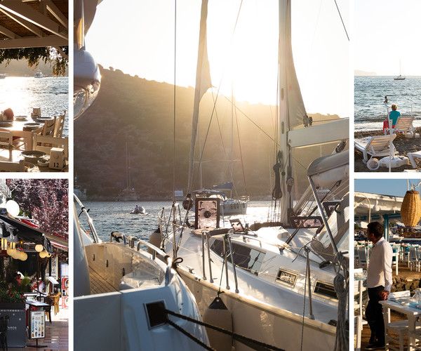 ArtStation - Turkey - Photo Reference Pack | Resources