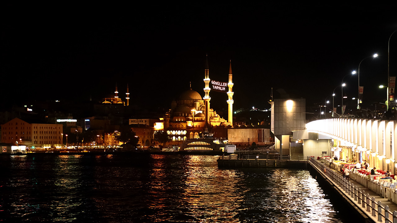 ArtStation - Turkey - Photo Reference Pack | Resources