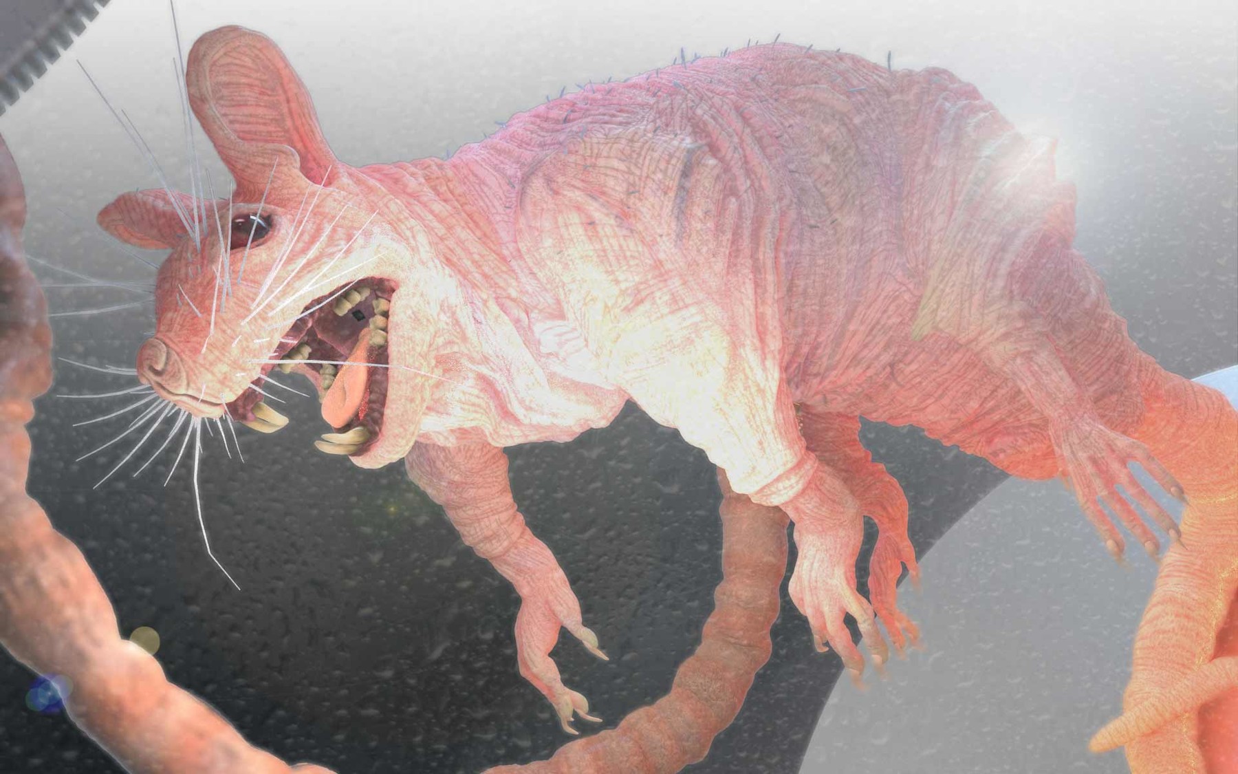 ArtStation - Laboratory Rat Figurine | Resources