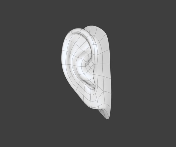 ArtStation - Ear | Resources