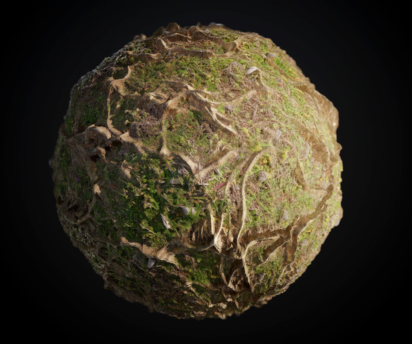 ArtStation - 20 Ground Tree Roots Forest Seamless PBR Texture Pack ...