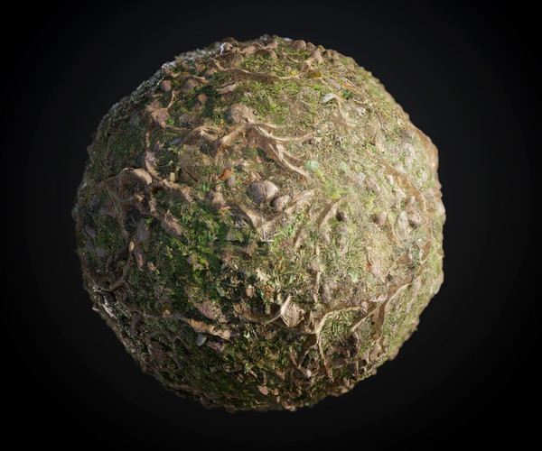 ArtStation - 20 Ground Tree Roots Forest Seamless PBR Texture Pack ...