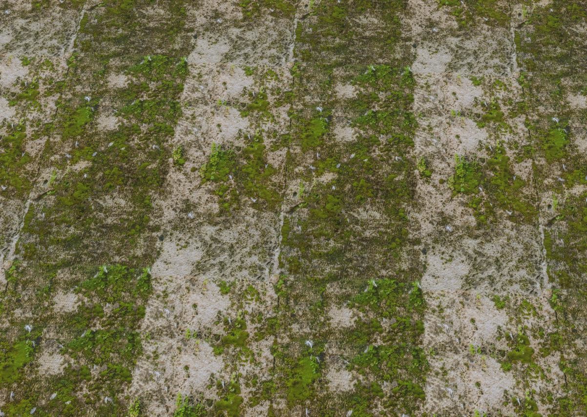 ArtStation - PBR Photoscan Material | Resources