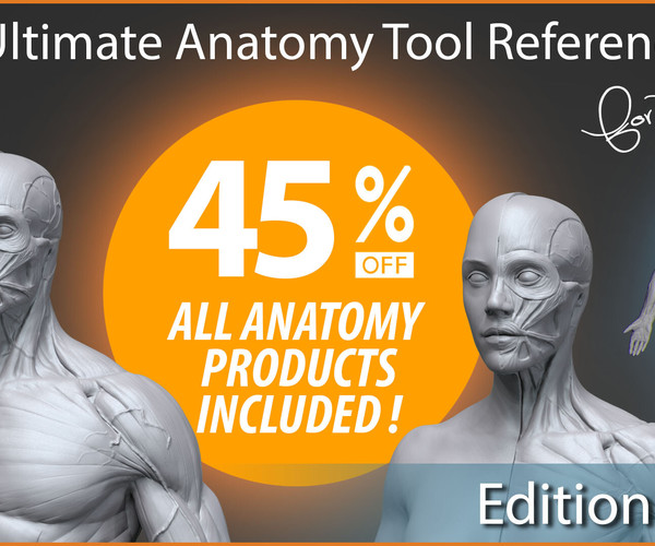 ArtStation - Ultimate Anatomy Tool Reference for Artists ! | Resources