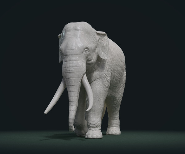 ArtStation - Asian Elephant | Resources