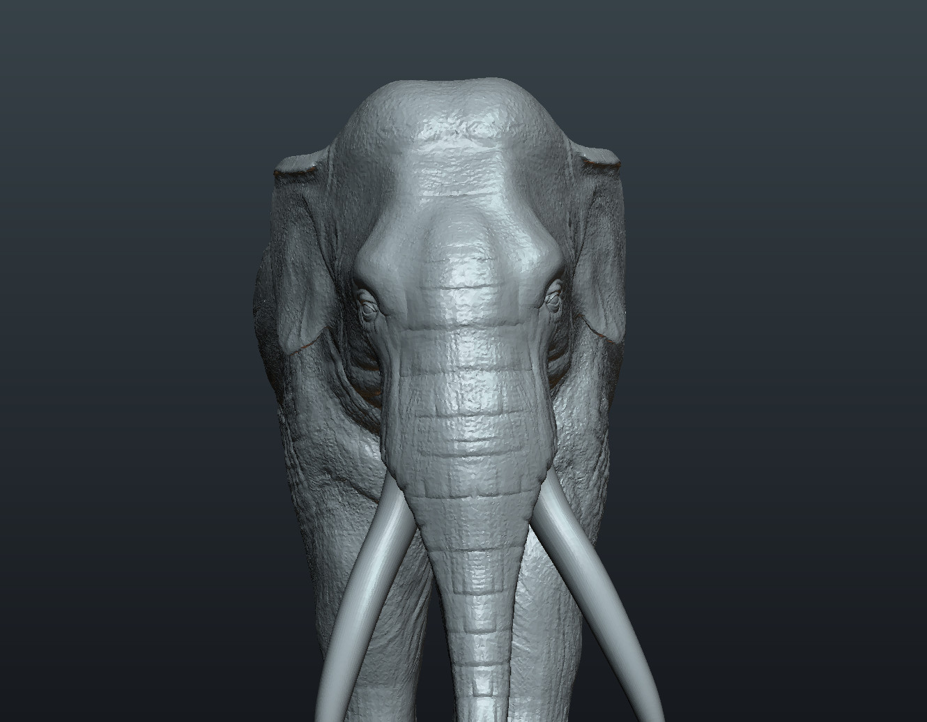 ArtStation - Asian Elephant | Resources