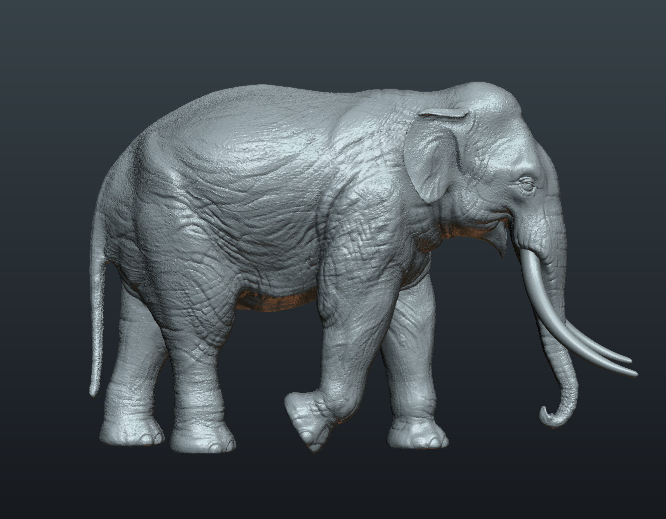 ArtStation - Asian Elephant | Resources