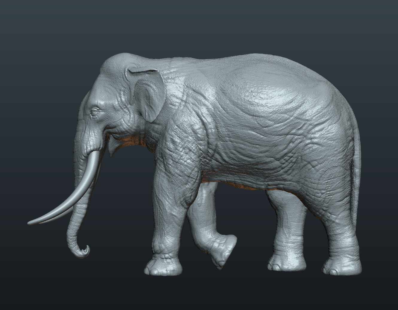 ArtStation - Asian Elephant | Resources