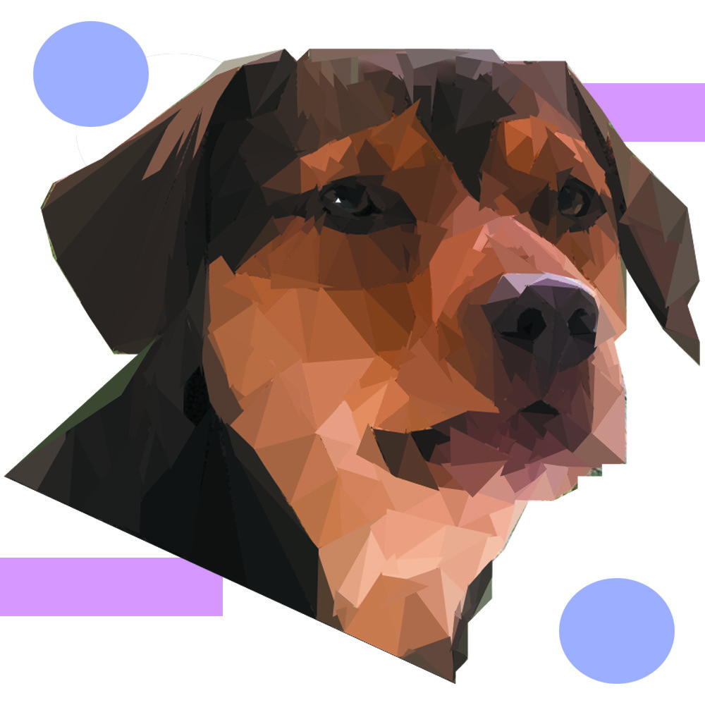 ArtStation - Low poly dog | Artworks