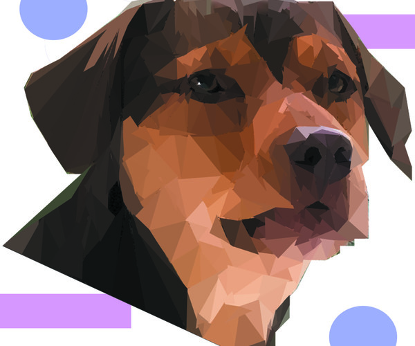 ArtStation - Low poly dog | Artworks