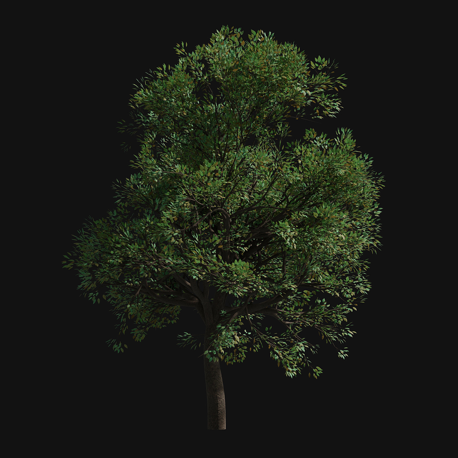 ArtStation - 31 Trees Alpha png | Resources