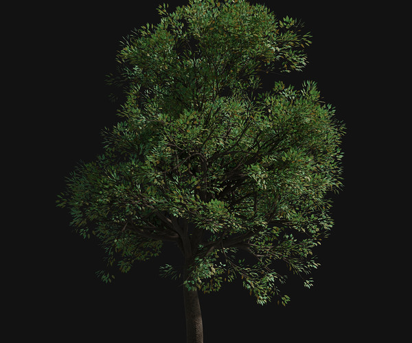 ArtStation - 31 Trees Alpha png | Resources