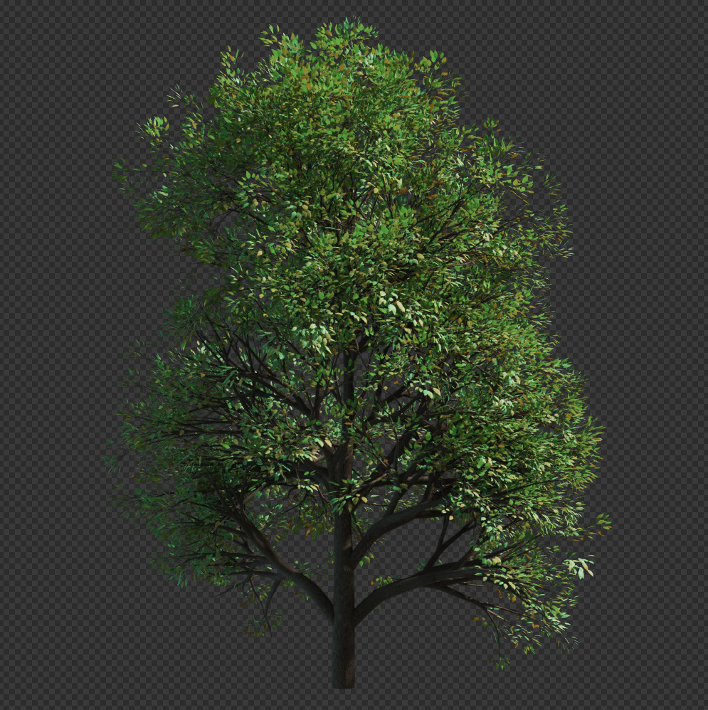 ArtStation - 31 Trees Alpha png | Resources