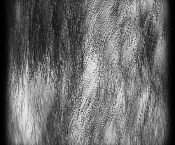 ArtStation - [30%OFF] ZBRUSH - 2K FUR ALPHA PACK | Brushes