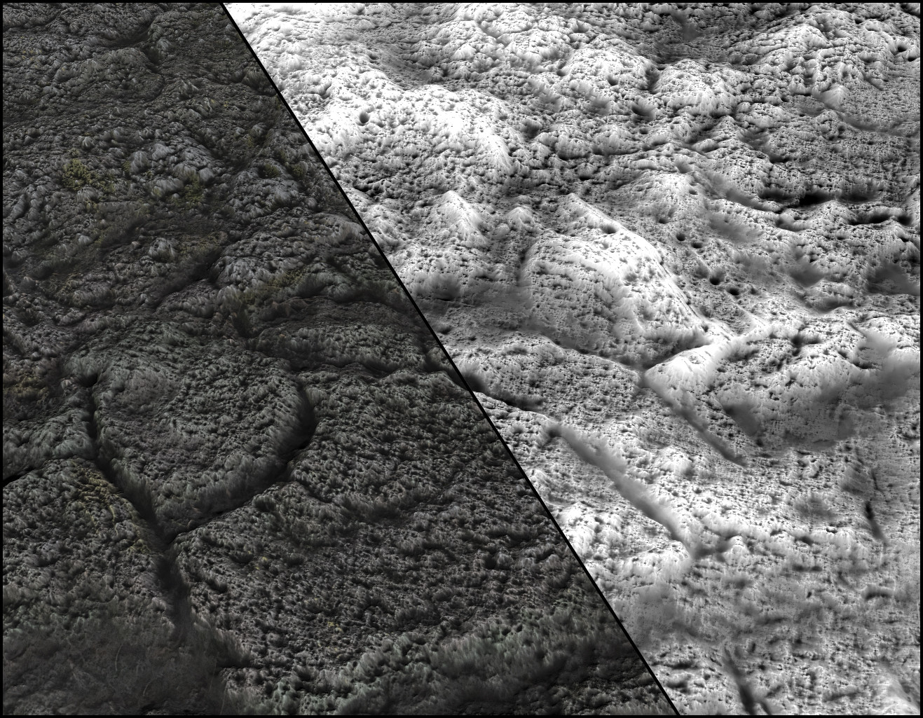 ArtStation - NW Oregon Texture Pack Vol. 1 | Game Assets