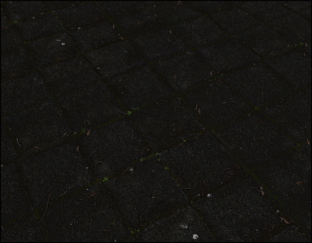 ArtStation - NW Oregon Texture Pack Vol. 1 | Game Assets