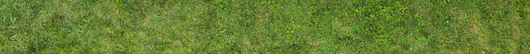 ArtStation - Panoramic Grass | Resources