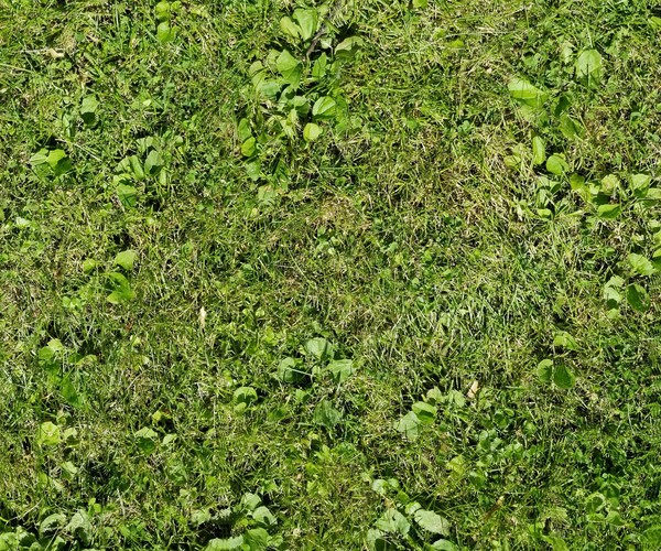 ArtStation - Grass Study | Resources