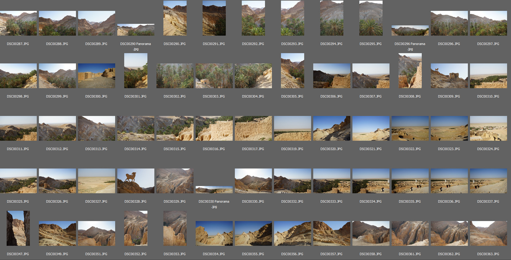 ArtStation - Oasis Texture Pack | Resources