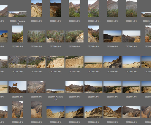 ArtStation - Oasis Texture Pack | Resources