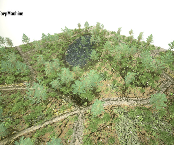 ArtStation - 3D Forest Map | Resources