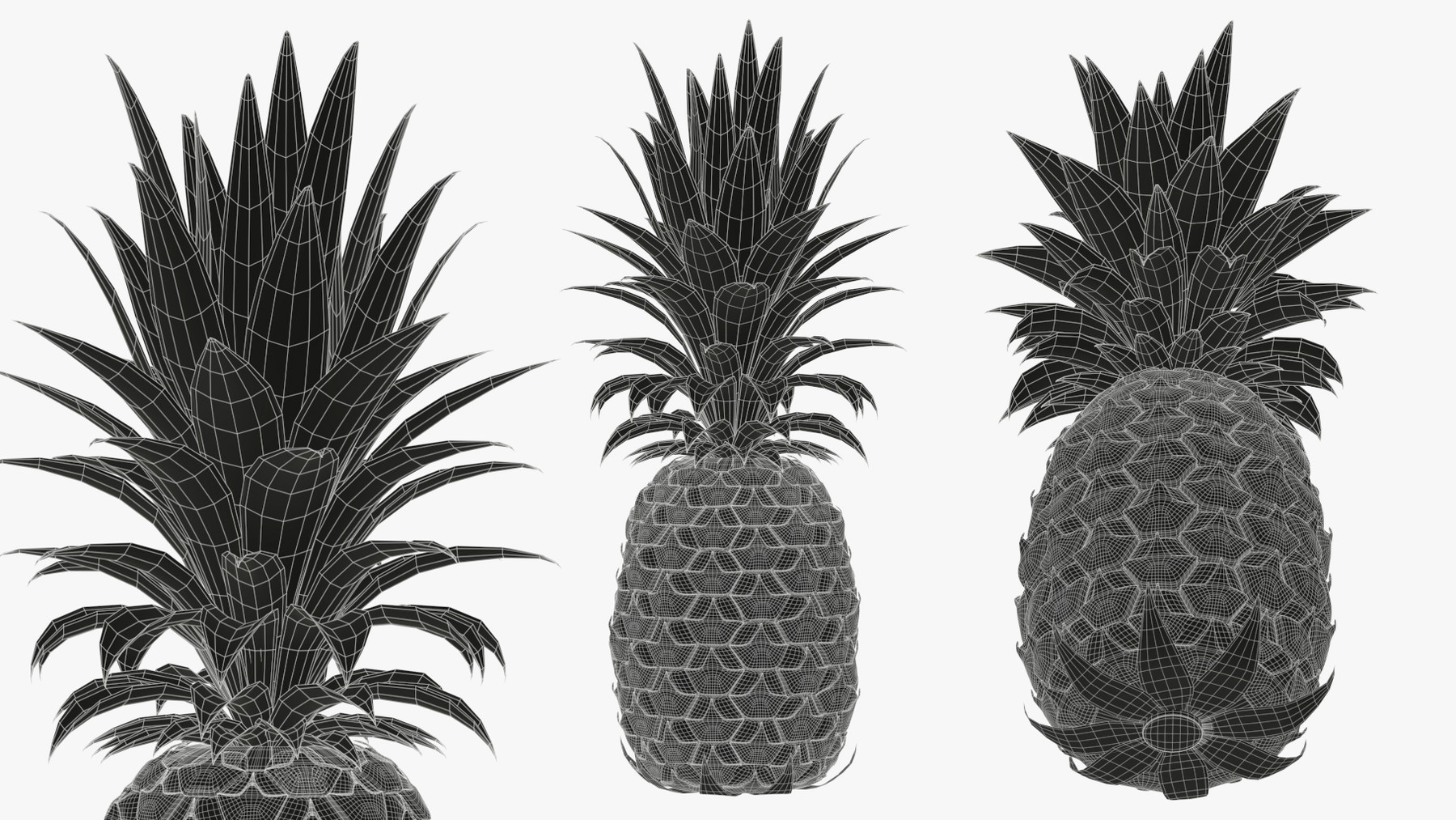 ArtStation - Pineapple | Resources