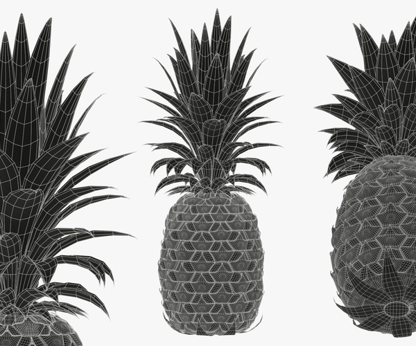 ArtStation - Pineapple | Resources
